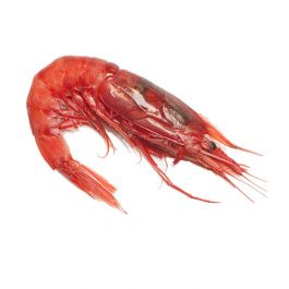 Rote Garnele 3° Sizilien 1Kg